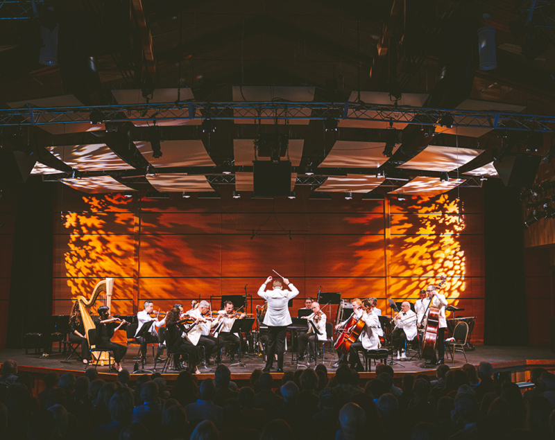 Home - stringsmusicfestival.com